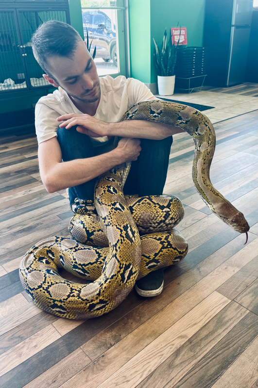 Snakes | Custom Creatures Pet Shop